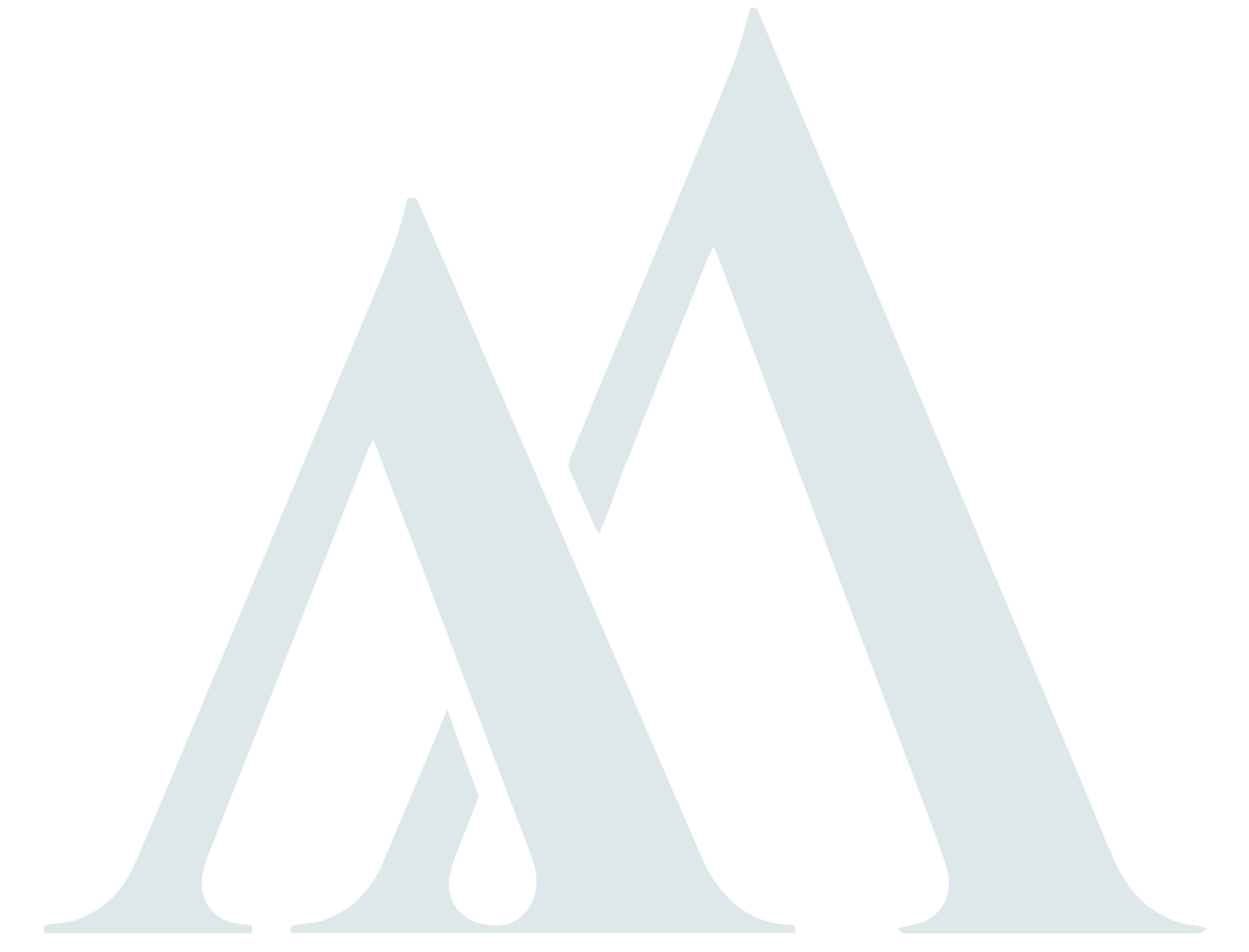 Adagia Partners - European Mid-Market private equity firm